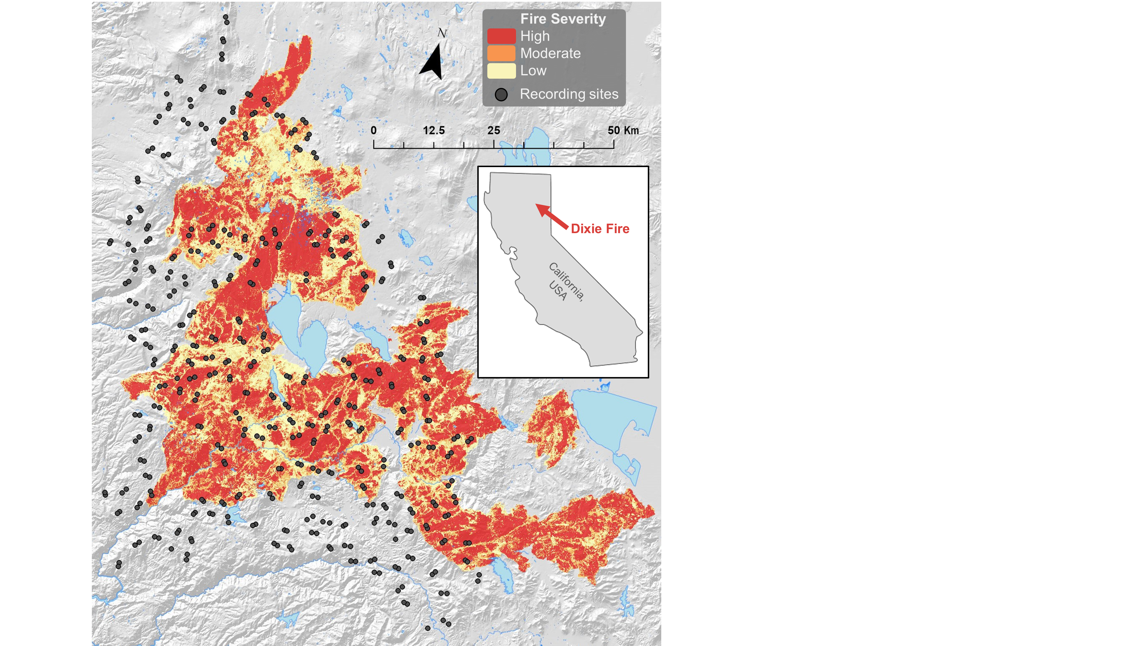 Trading places: opposite colonization and extinction responses of the ...