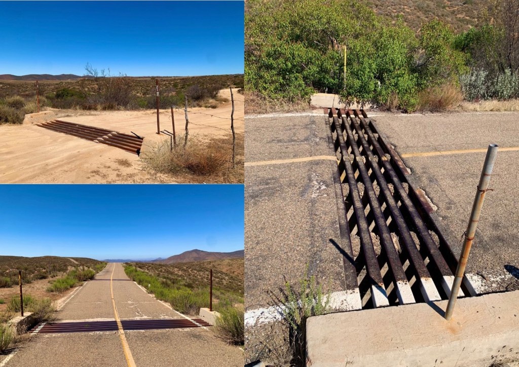 Observations of wildlife entrapment in cattle guards, with special ...