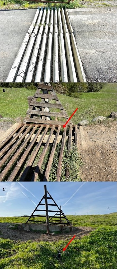 Observations of wildlife entrapment in cattle guards, with special ...